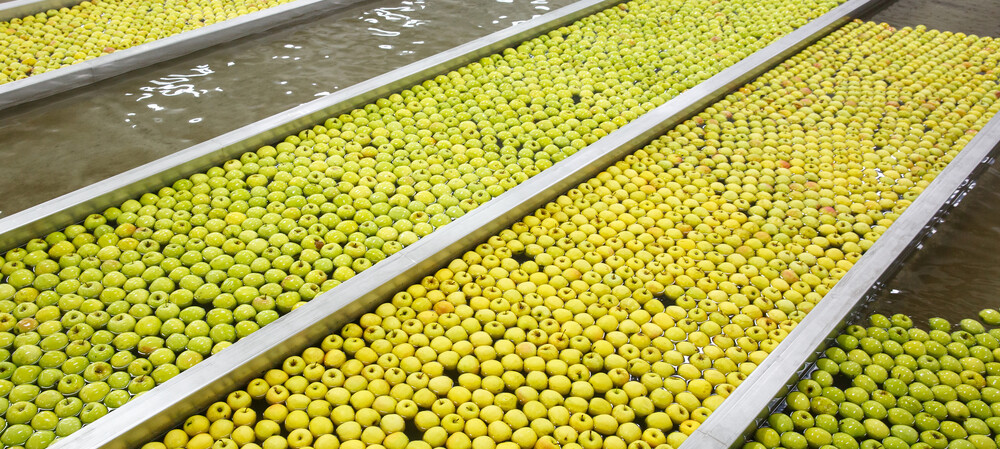 Food Processing | News, updates and product innovations in food ...